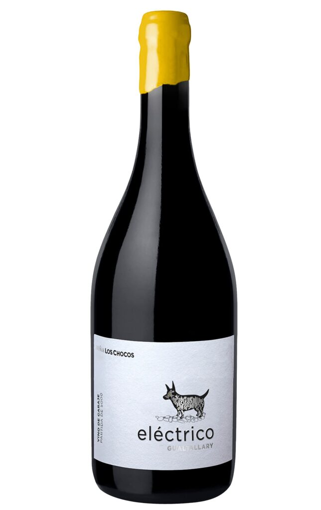 Electrico Malbec 2021 - Wine & Co.